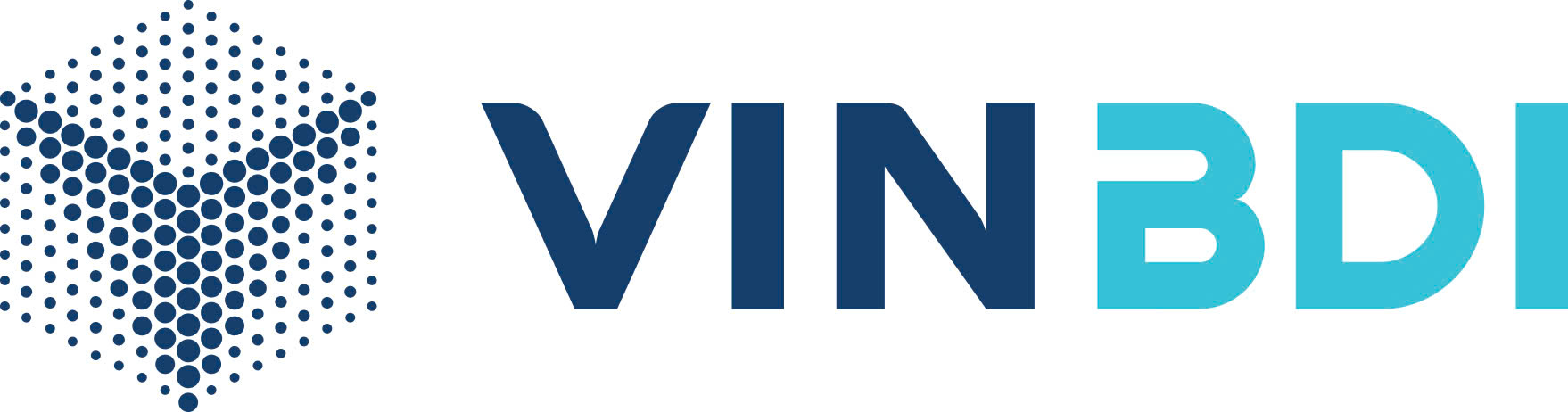 VinIF Funding – VinBigdata