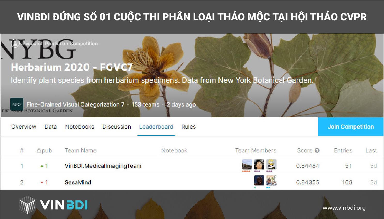 VinBigdata ranks first in Herbarium 2020 – VinBigdata