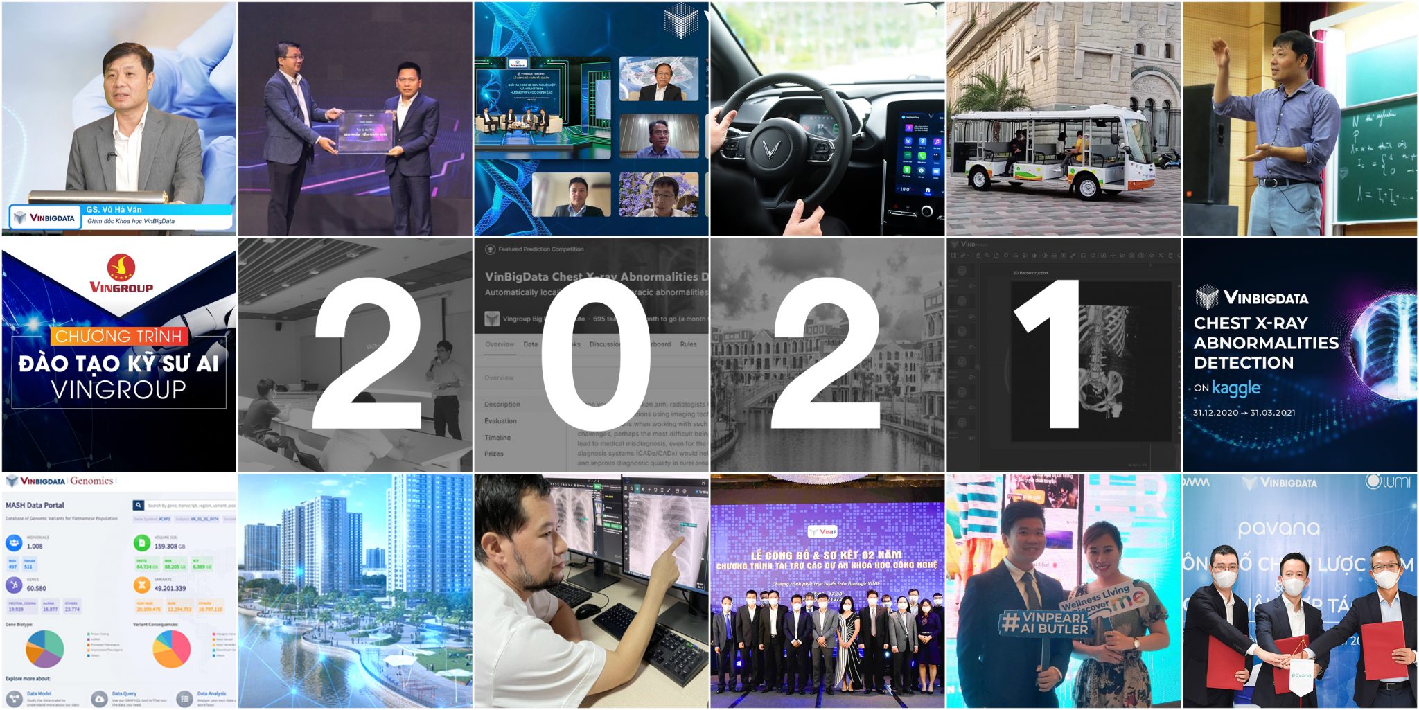 VinBigdata